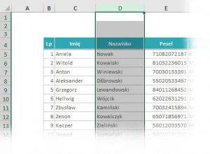 Blokowanie wiersza w Excelu - Poradnik Excel