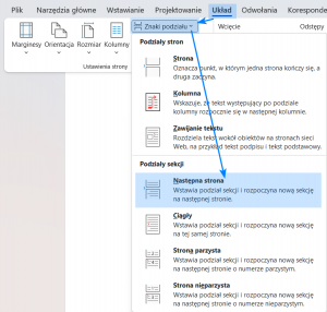 Word numerowanie stron - Poradnik Excel